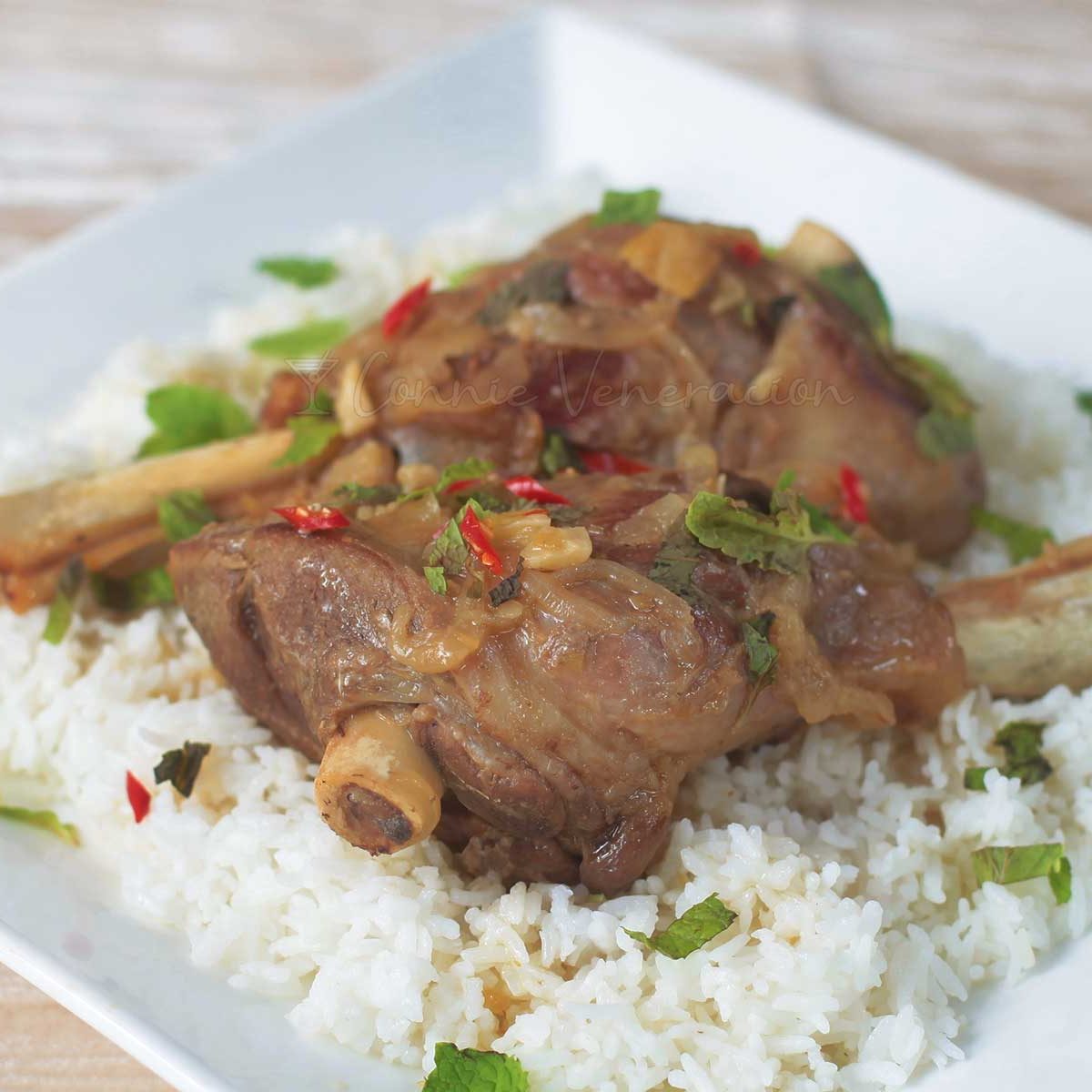 Chinese hamburger (rou jia mo)