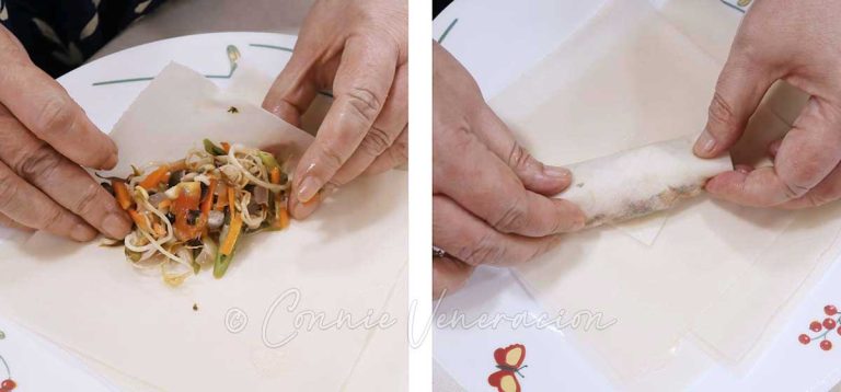 Bean sprouts spring rolls