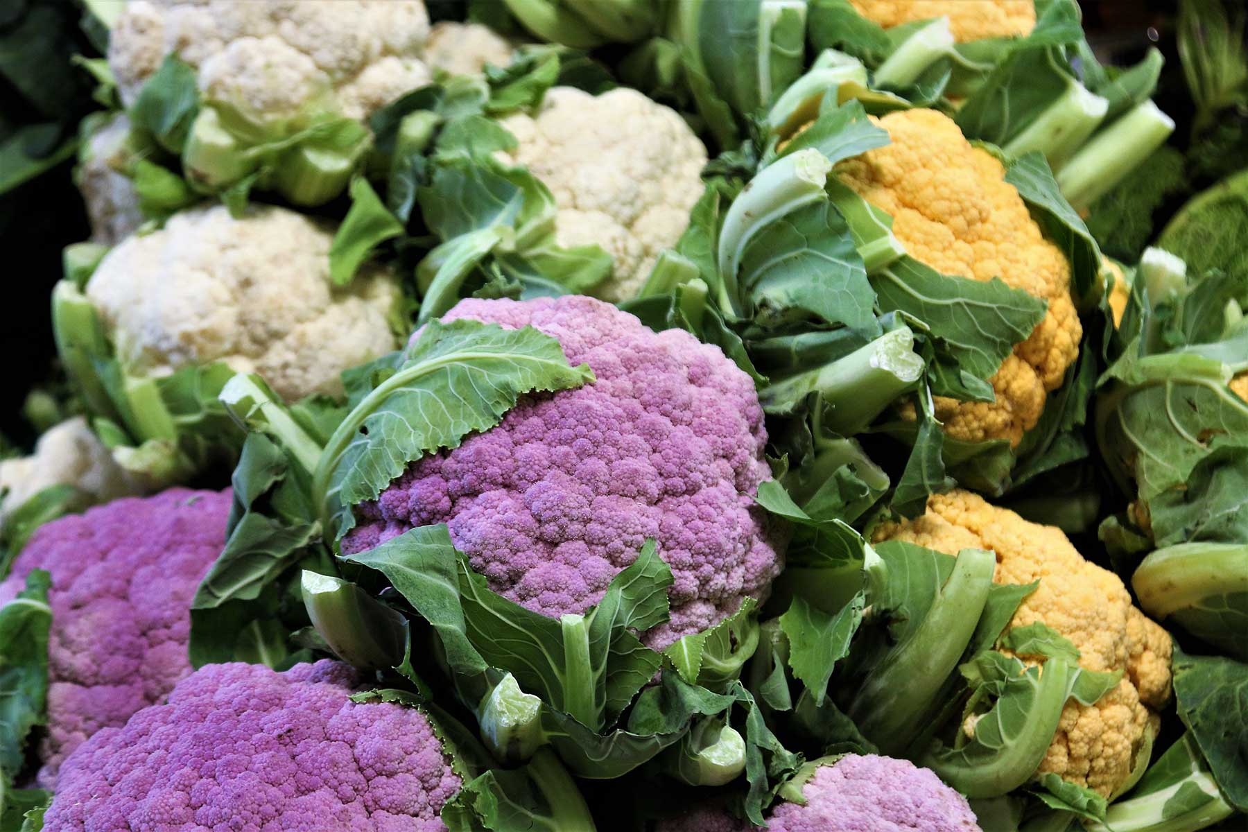 Cauliflower: kinds, colors and recipes