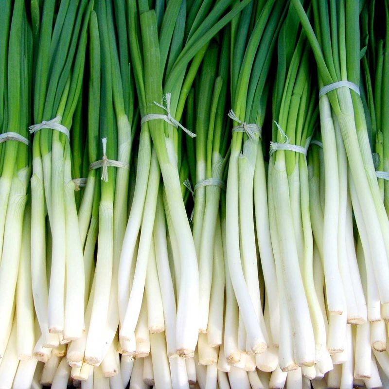 Scallion, spring onion, leek and shallot: how to differentiate