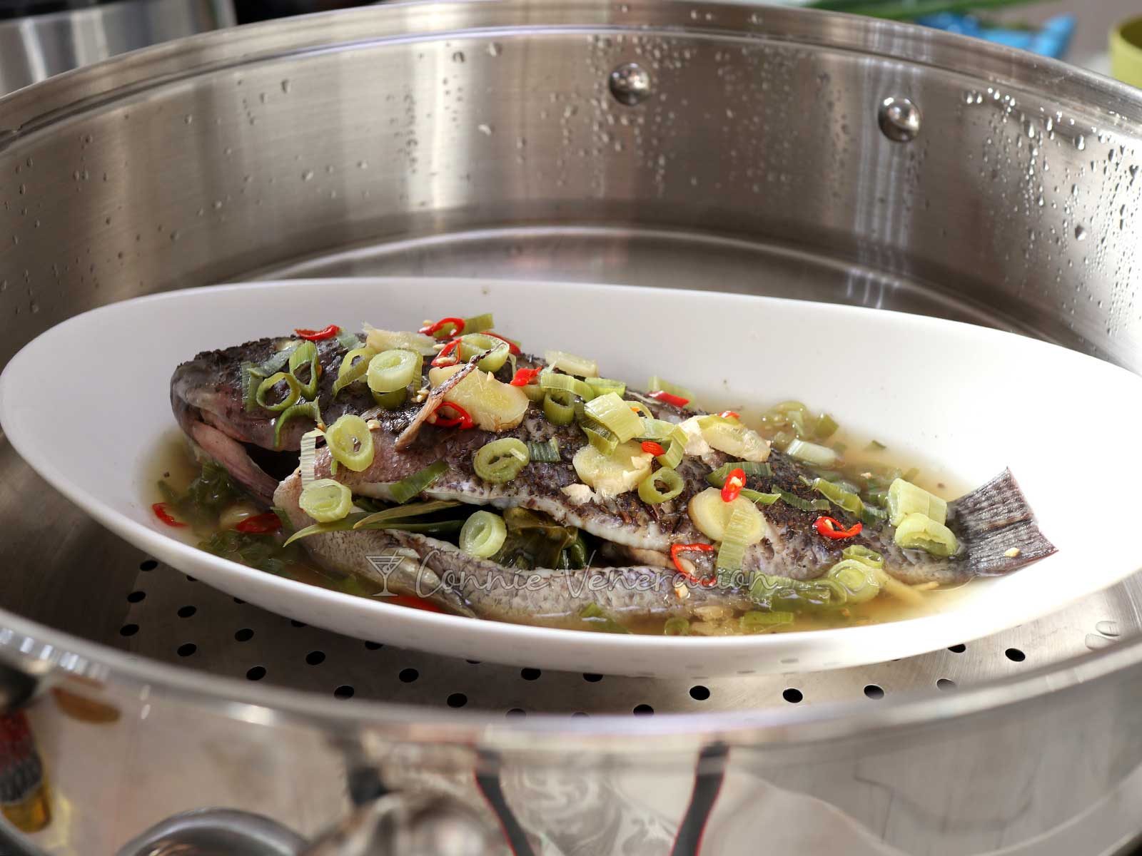 Steamed whole tilapia with ginger, chilies and scallions