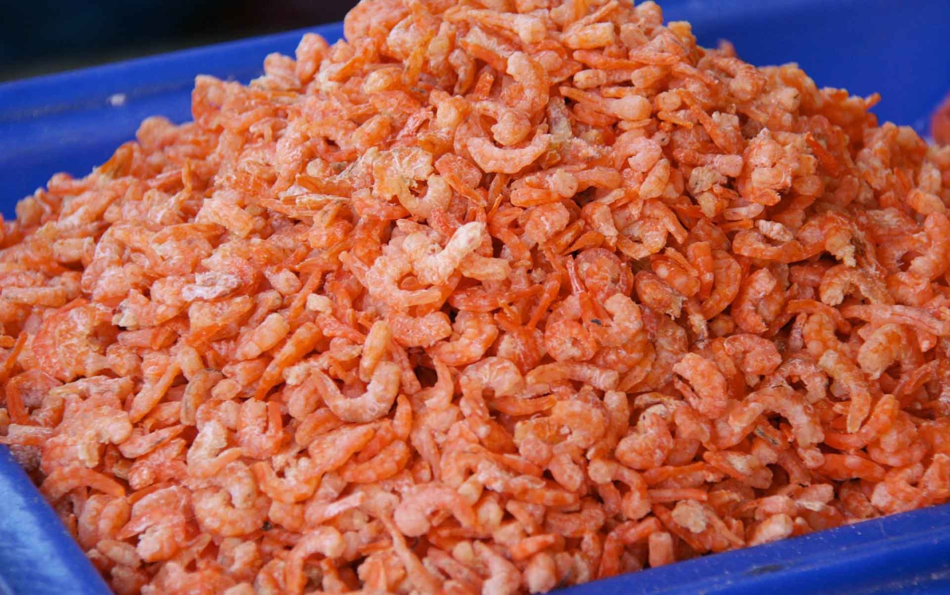Dried shrimps: how to buy, store and cook