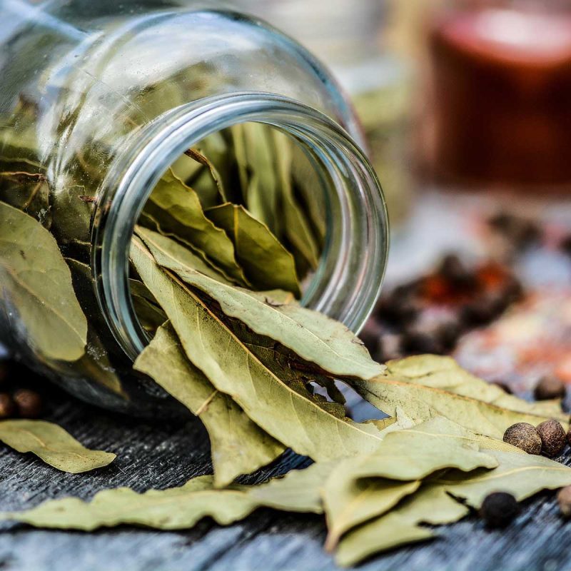 Are laurel and bay leaf the same?